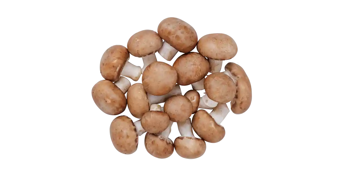 Ekologiska champinjoner| Köp svamp online | Årstiderna