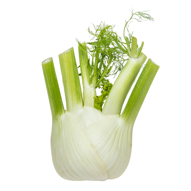 Stængler & bælgfrugter