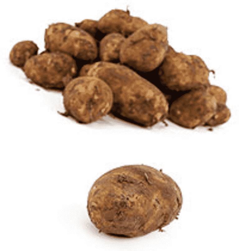 Rotmos - recept från Årstiderna